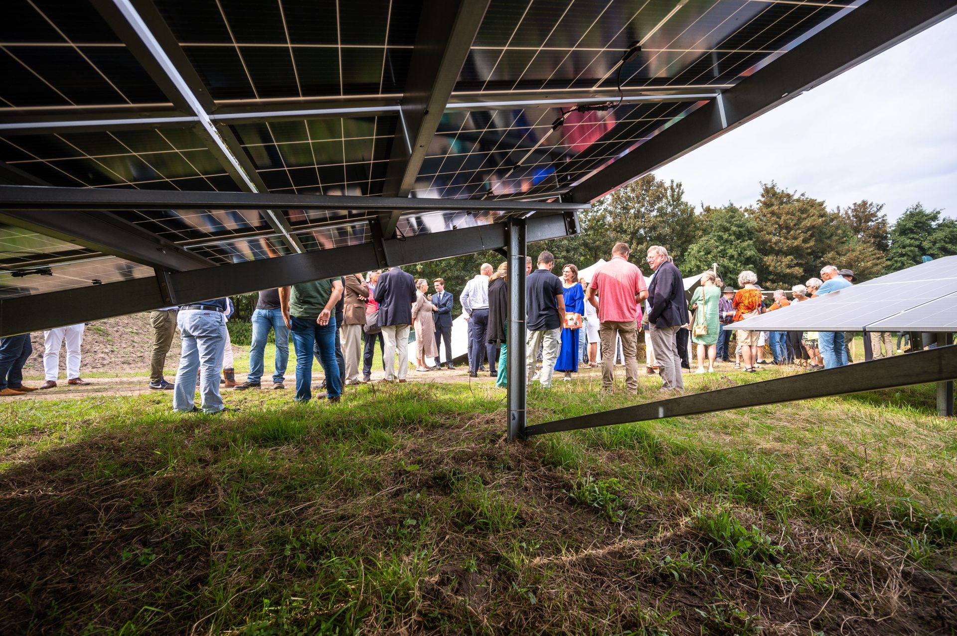 Zonnepark Leeuwenhorsterhoek geopend | Nieuws | GroenLeven